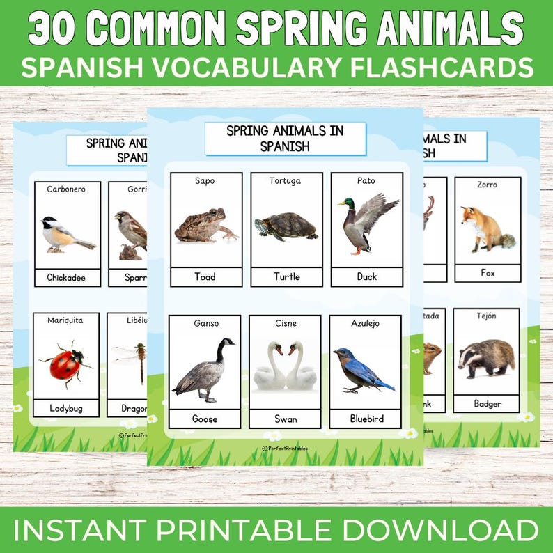 Spring Animals in Spanish Bilingual Vocabulary Flashcards With Real ...