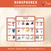 Homophones Flashcards, 60 Pairs of Homophones Memory Game Flash Cards ...
