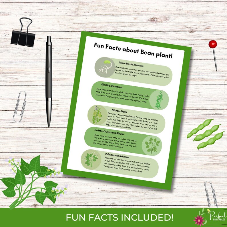 Life Cycle of a Bean Plant, Homeschool Nature & Botany Study Printable ...