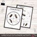 Life Cycle of a Pill Bug Worksheet- Roly Poly Unit Study With Fun Facts ...