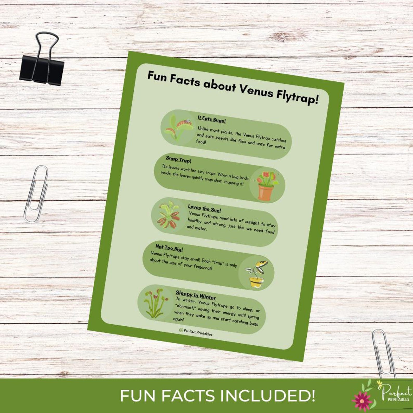 Life Cycle of a Venus Flytrap Worksheet- Plant Science Unit Study With ...