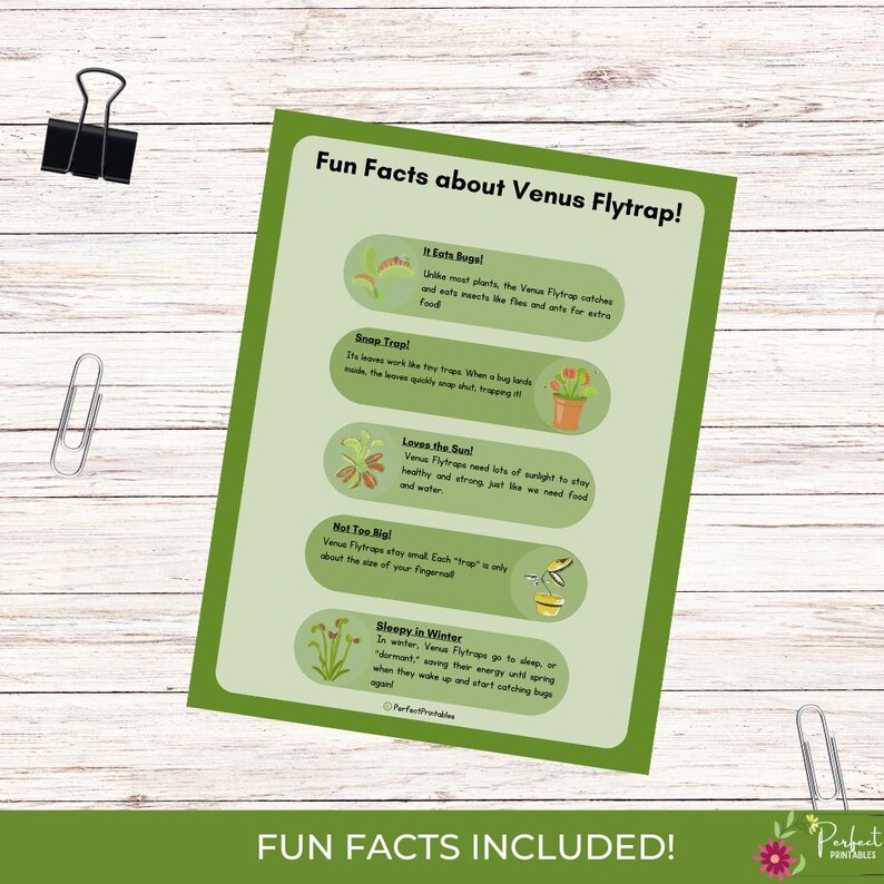 Life Cycle of a Venus Flytrap Worksheet- Plant Science Unit Study With ...