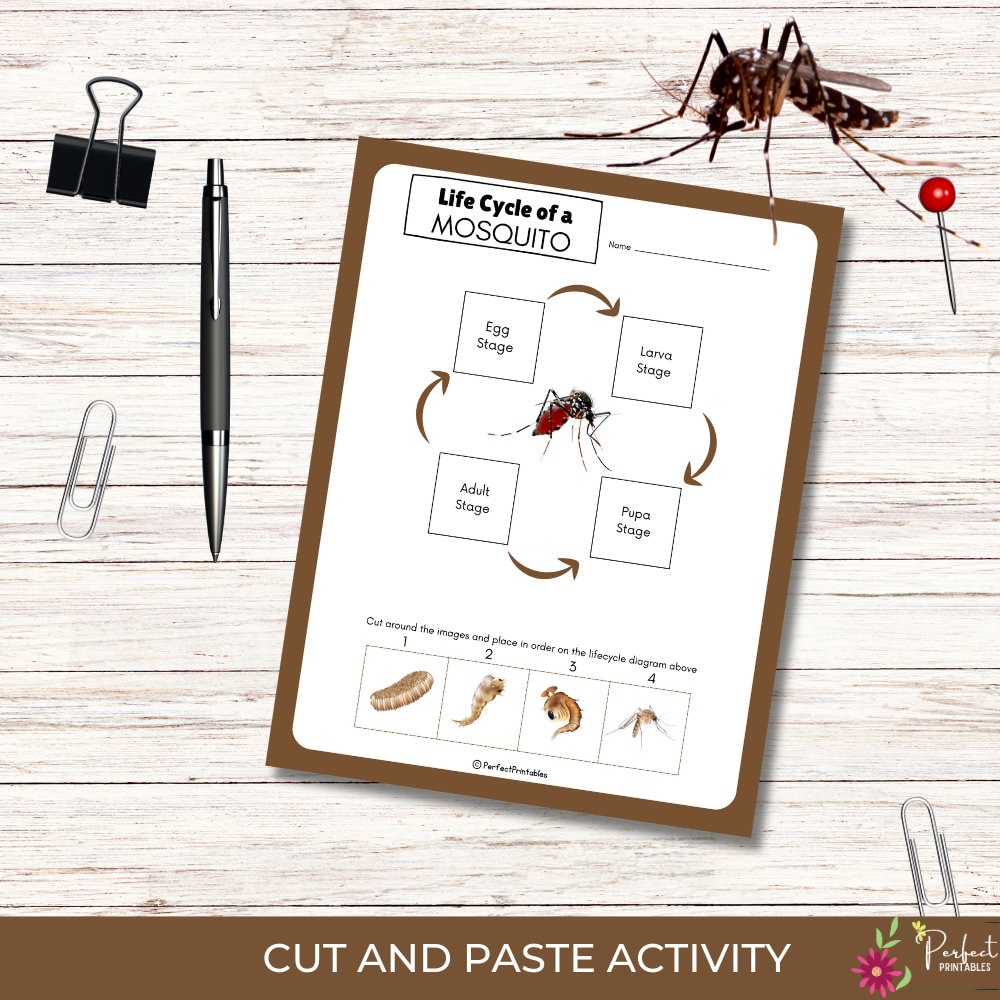 Life Cycle of a Mosquito Insect, Homeschool Nature Study Printable ...