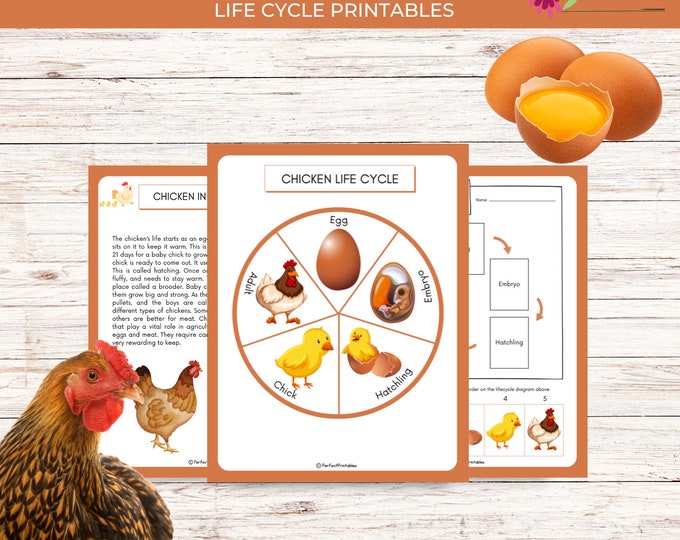 Life Cycle of a Chicken | Homeschool Nature Study Printable, Farm ...