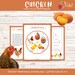 The Life Cycle of a Mealworm Worksheet Homeschool Nature Study ...