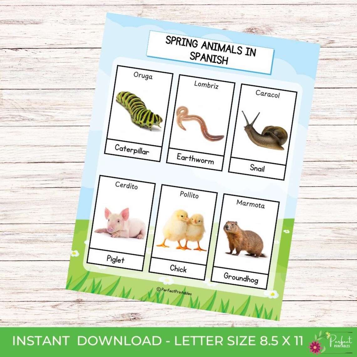 Spring Animals in Spanish Bilingual Vocabulary Flashcards With Real ...