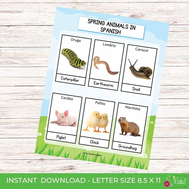 Spring Animals in Spanish Bilingual Vocabulary Flashcards With Real ...