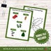 Life Cycle of a Holly Plant Worksheet | Christmas Plant Science Unit ...