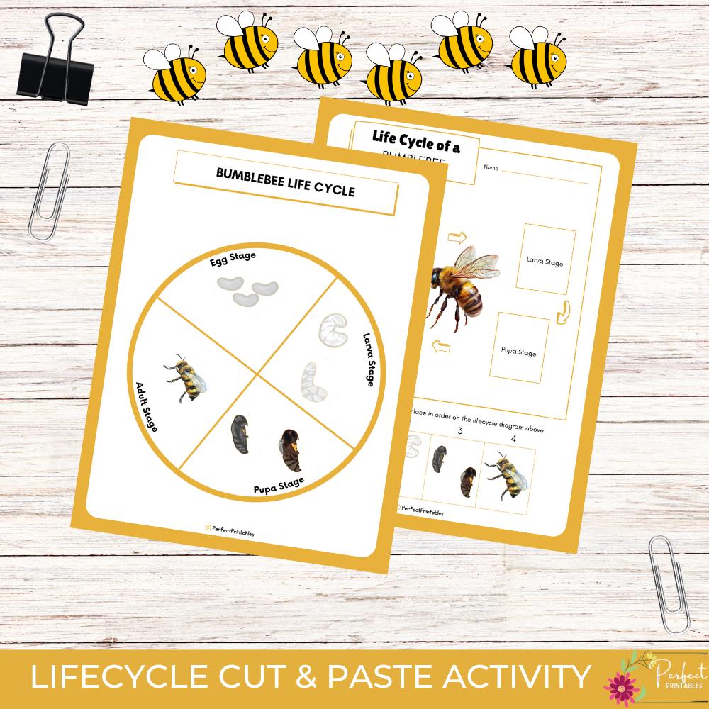 Life Cycle of a Bumblebee Unit Study Worksheet | Bugs & Insect Life ...