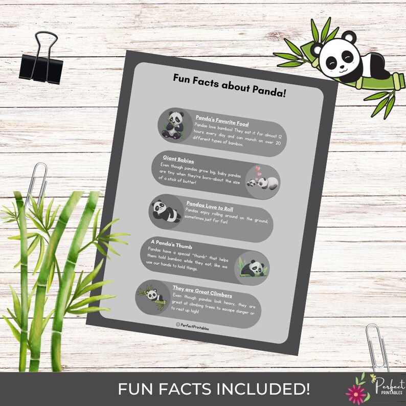 Panda Life Cycle | Life Cycle of a Panda Worksheet - Animal Science ...