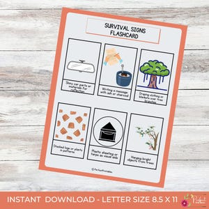 Survival Signs Flashcard | 30 Essential Visual Survival Signs for Kids ...