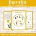 Life Cycle of a Daffodil Worksheet | Spring Plant Unit Study With Fun ...