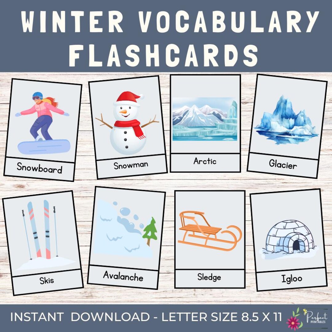 Printable Winter Flashcards for Kids Seasonal Preschool Montessori 3 ...