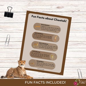 Life Cycle of a Cheetah Worksheet- Animal Science Unit Study With Fun ...