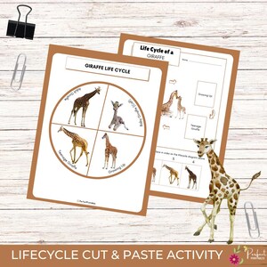 Life Cycle of a Giraffe Worksheet - Animal Science Unit Study With Fun ...