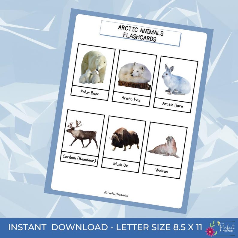 Arctic Animals Flashcards With Real Picture | Polar Animals Interactive ...
