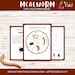 The Life Cycle of a Mealworm Worksheet | Homeschool Nature Study ...