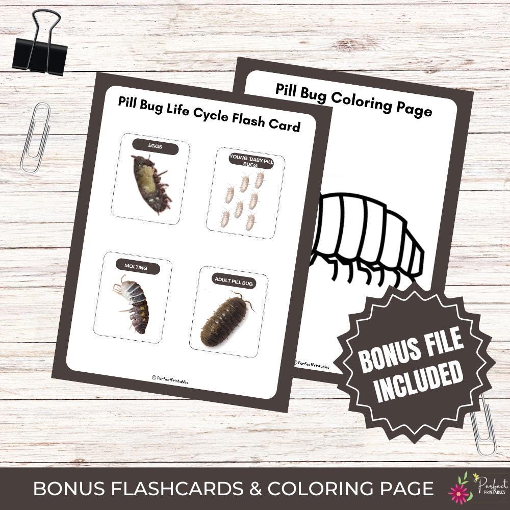 Life Cycle of a Pill Bug Worksheet- Roly Poly Unit Study With Fun Facts ...