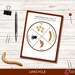 The Life Cycle of a Mealworm Worksheet | Homeschool Nature Study ...
