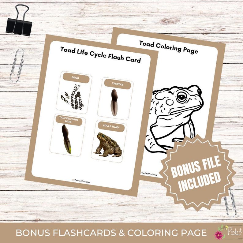 Life Cycle of a Toad Worksheet - Frog Science Unit Study With Cut ...