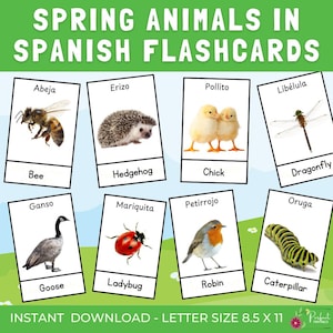 Spring Animals in Spanish Bilingual Vocabulary Flashcards With Real ...