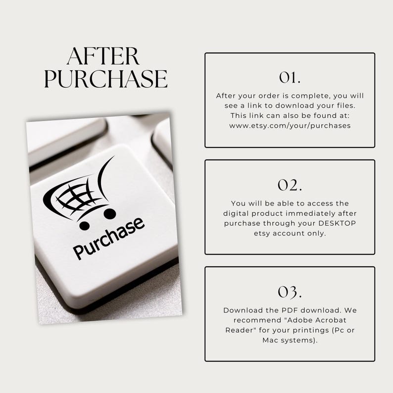 Life Cycle of a Holly Plant Worksheet | Christmas Plant Science Unit ...