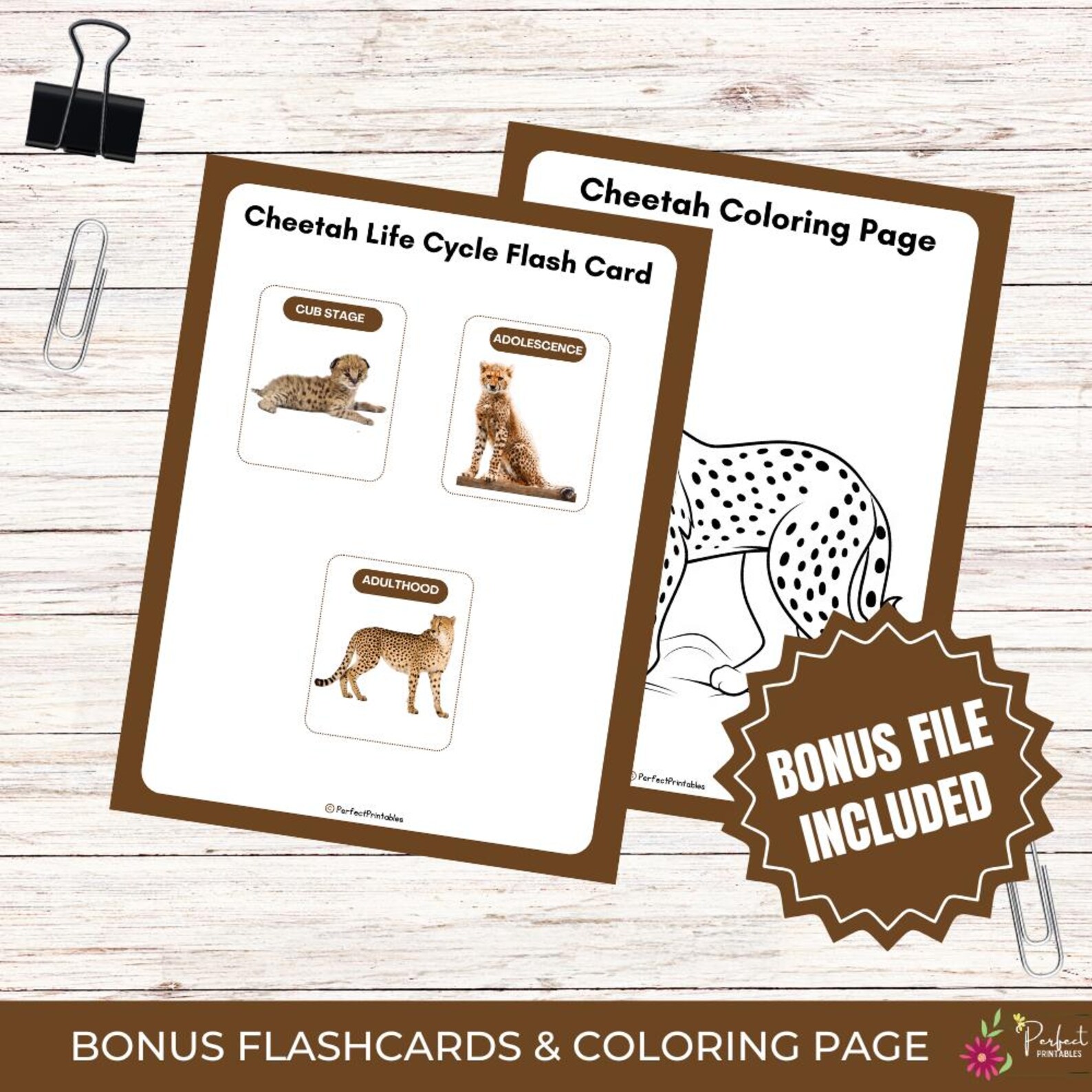 Life Cycle of a Cheetah Worksheet- Animal Science Unit Study With Fun ...
