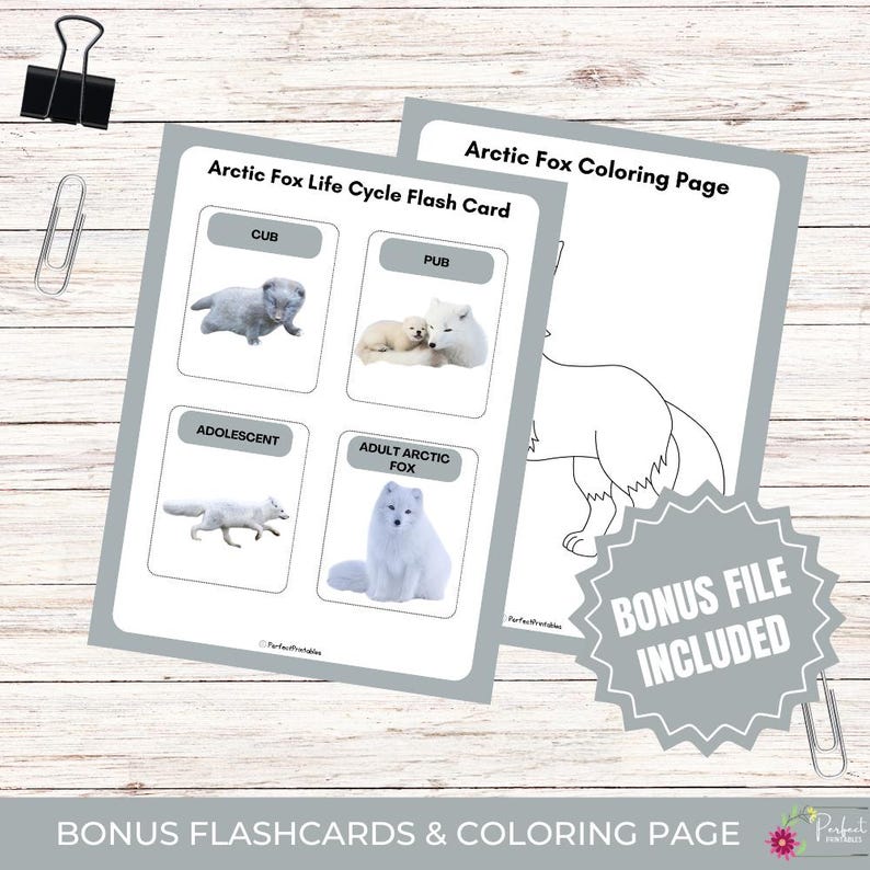 Life Cycle of an Arctic Fox Worksheet- Winter Animal Science Unit Study ...