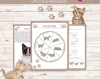 Life Cycle of a Chicken | Homeschool Nature Study Printable, Farm Animal Life Cycle Cut and ...