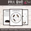 Life Cycle of a Bean Plant, Homeschool Nature & Botany Study Printable ...