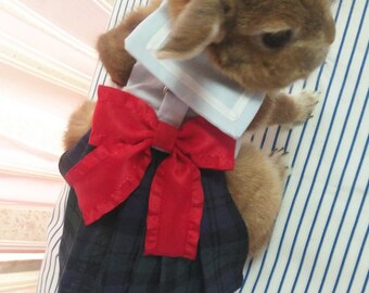 Pet rabbit clothes | Etsy