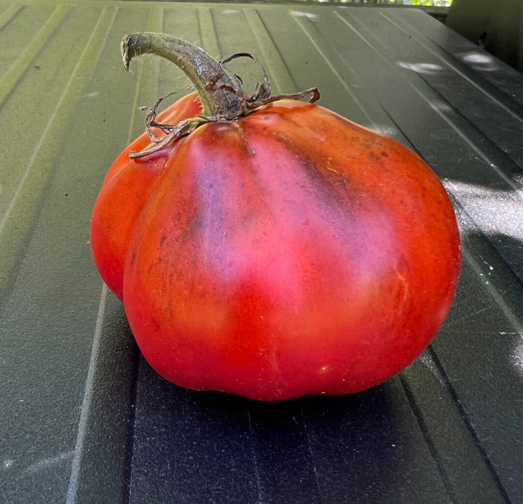 Blue Pear Tomatoes - Etsy
