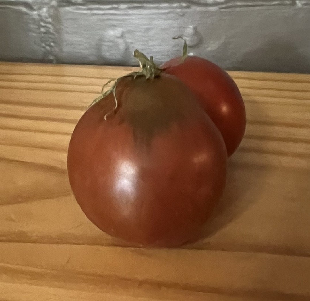 Black Truffle Tomato Seeds - Etsy