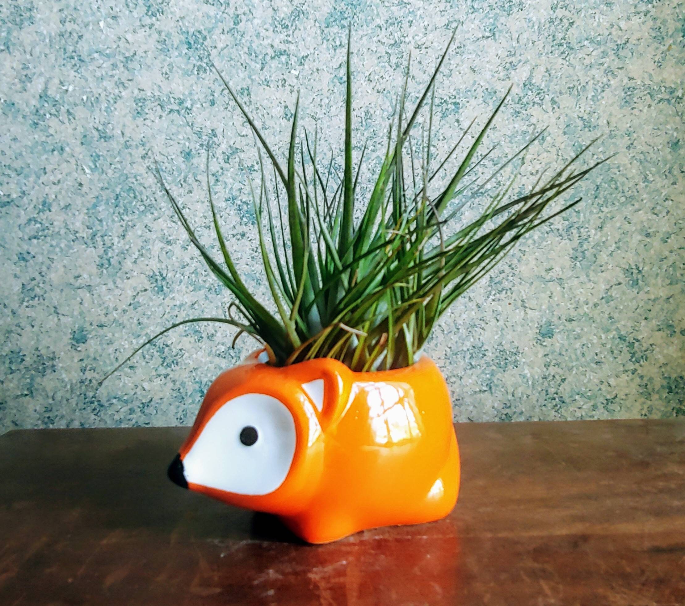 Cute Fox Planter/fox Planter/air Plant/plant/cute - Etsy