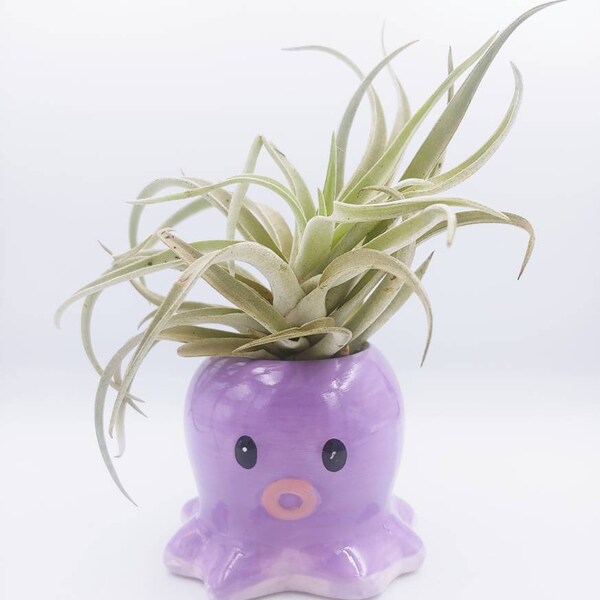 Octopus Planter - Etsy