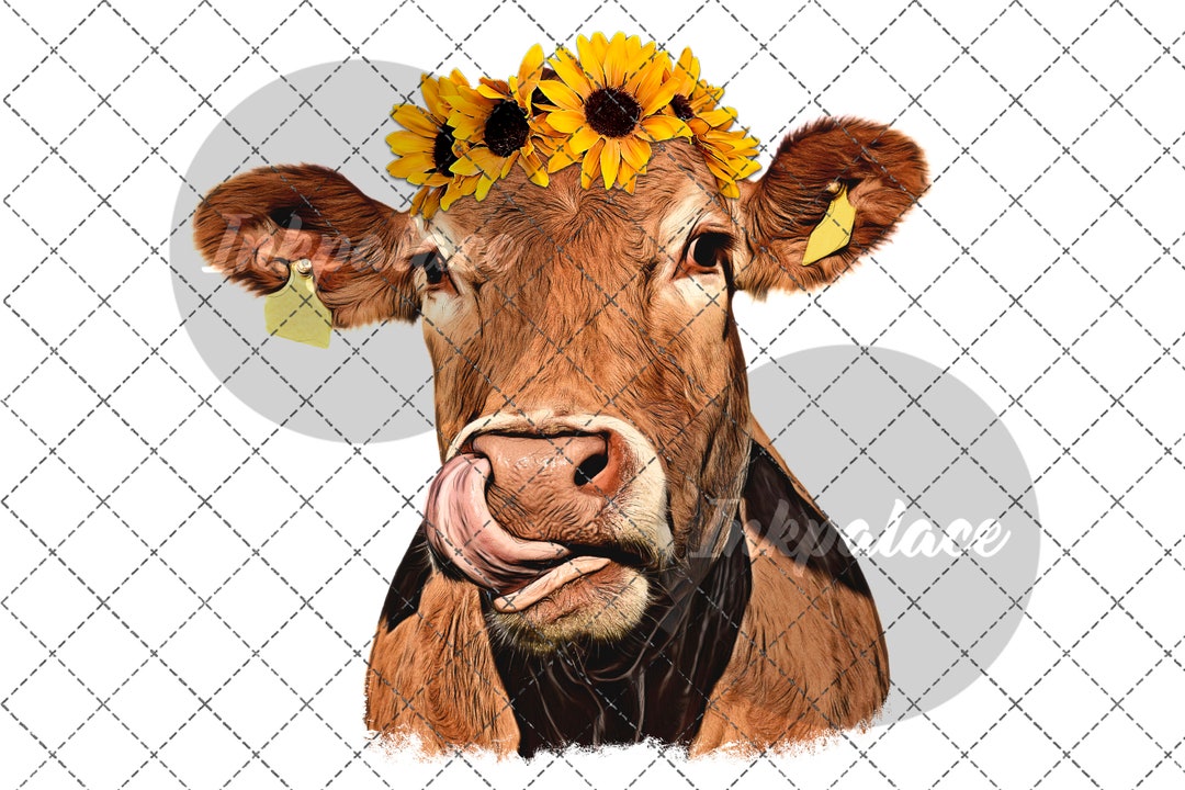 Heifer PNG, Heifer Cow, Heifer and Flowers, Funny Cow, Heifer Drawing ...