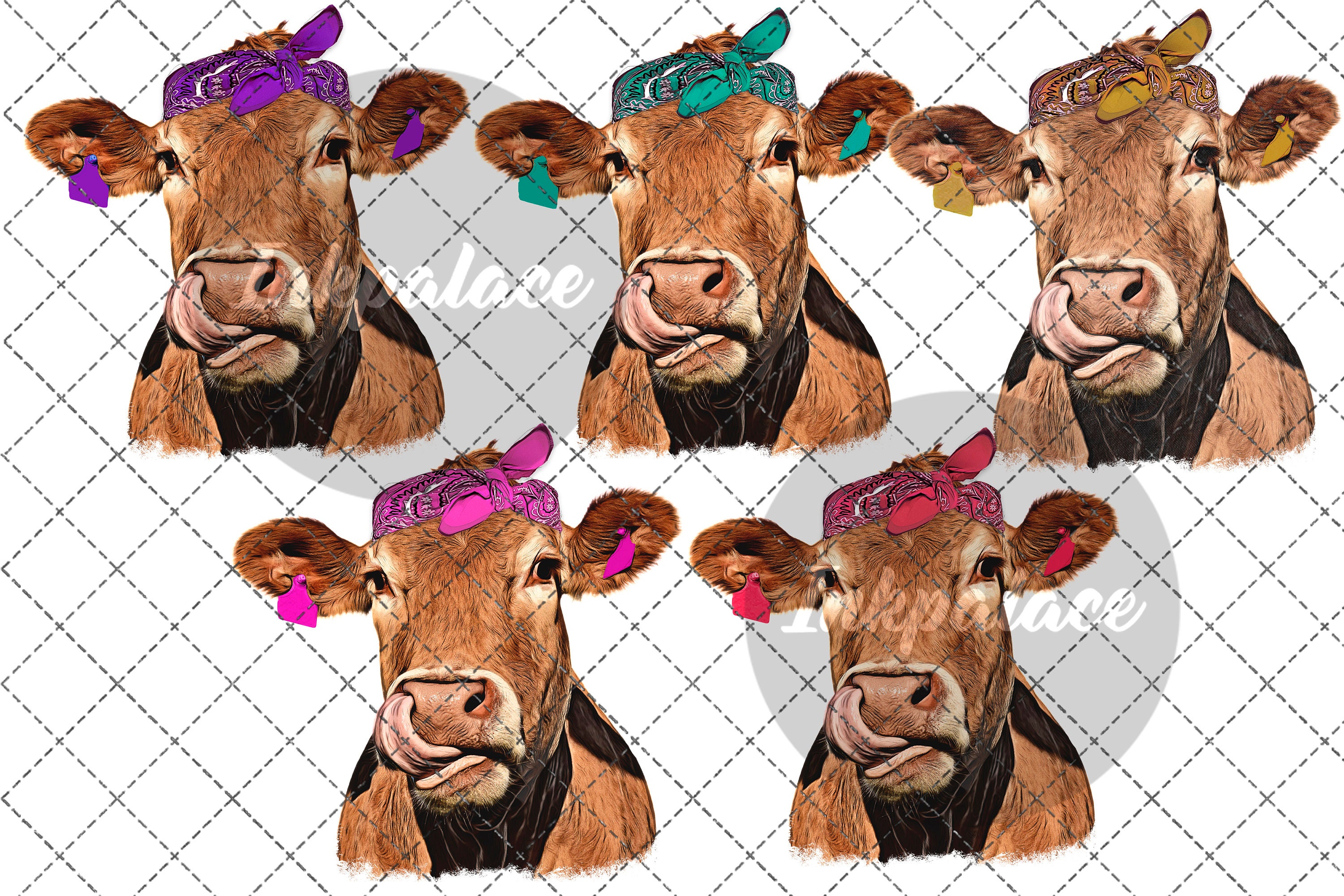 Heifer PNG Bundle, Heifer Cow, Heifer and Bandana, Funny Cow, Heifer ...