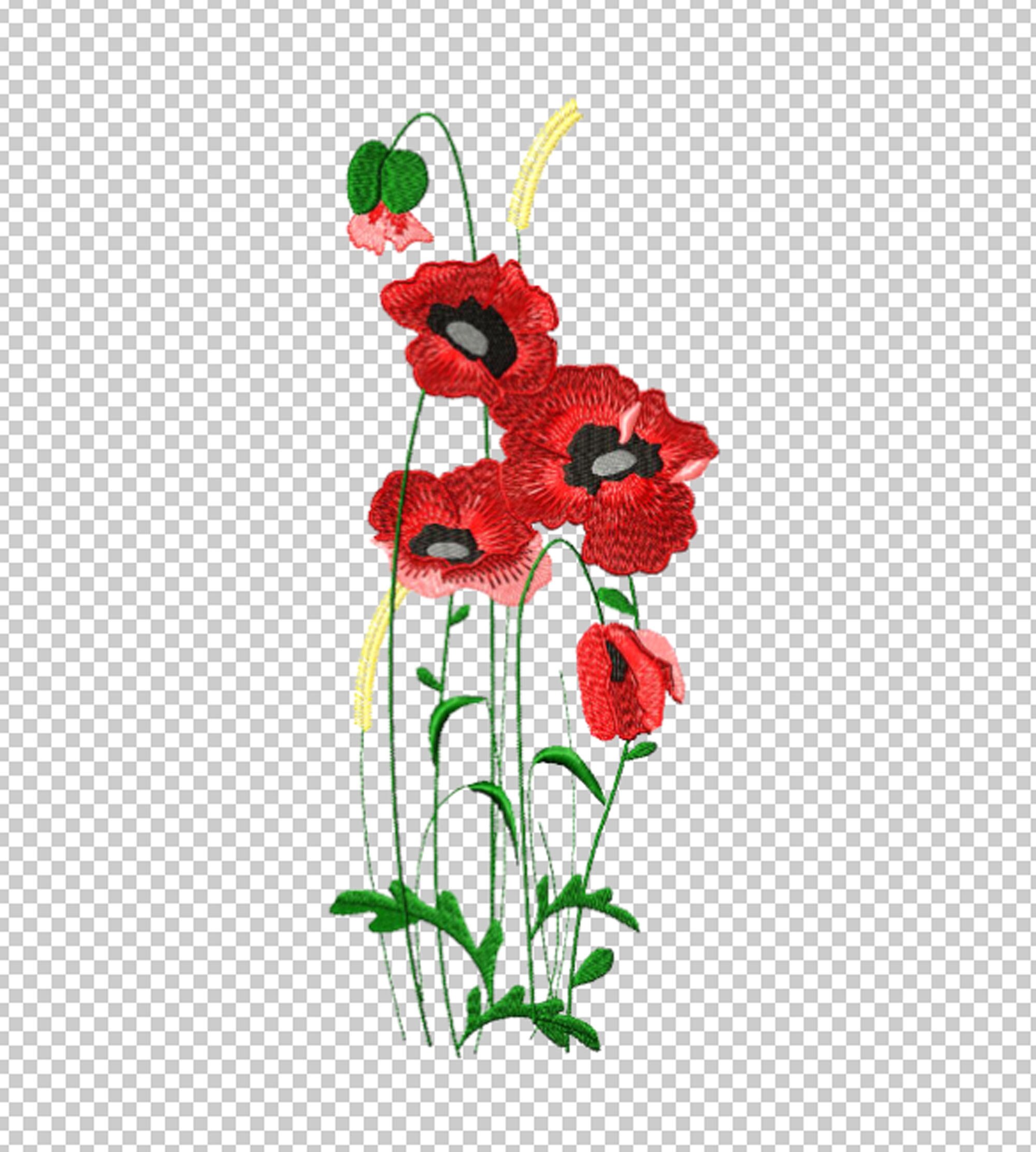Poppies Printable Card. Red Flowers Note Blank. PNG, JPG Clipart - Etsy