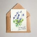 Watercolor Violet Flowers Card. Blue Flowers Note Blank. - Etsy