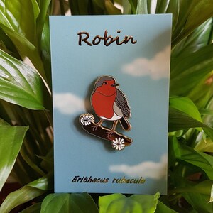 Robin Enamel Pin - Etsy
