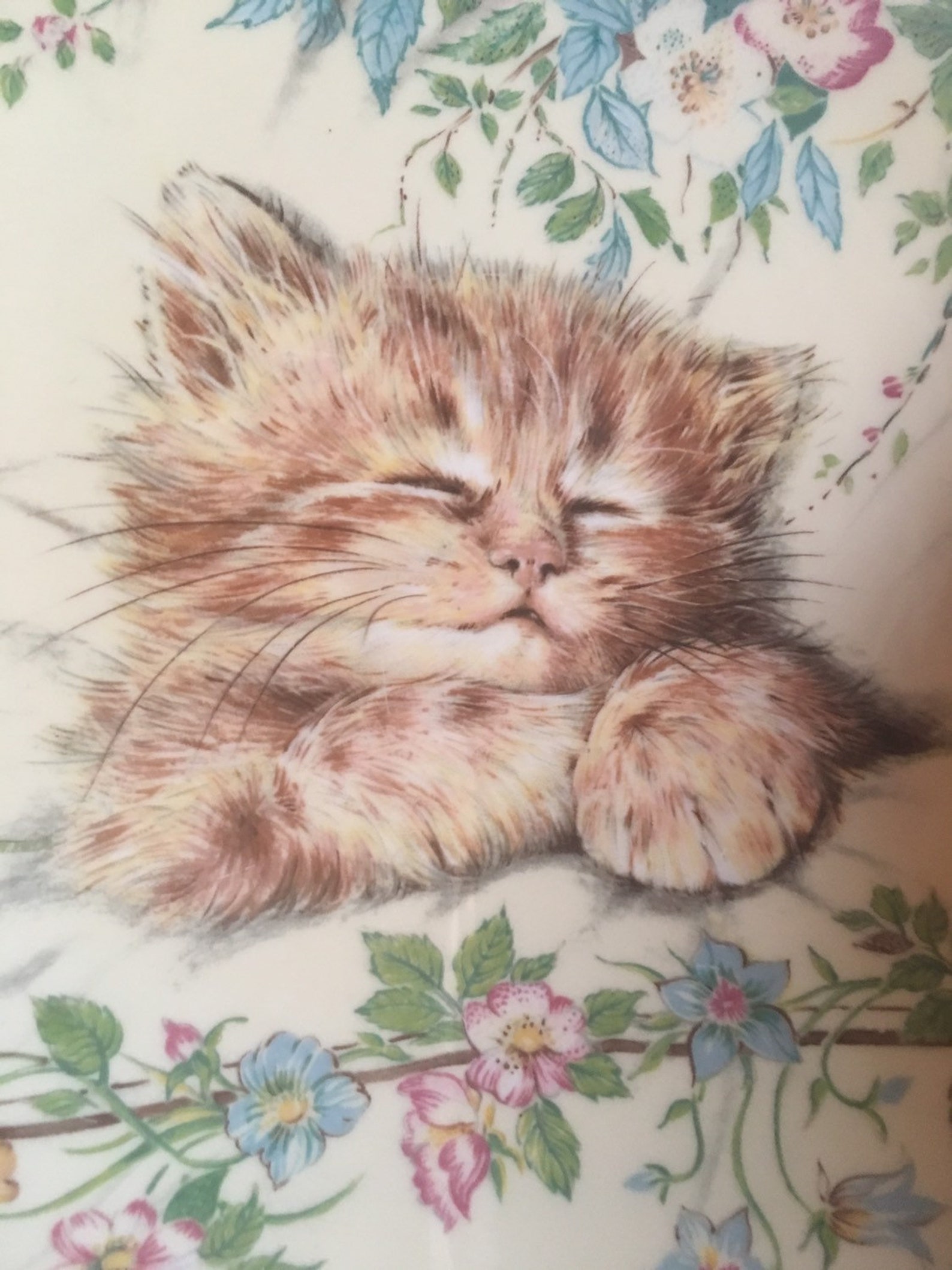 Cat Nap the Hamilton Collection - Etsy