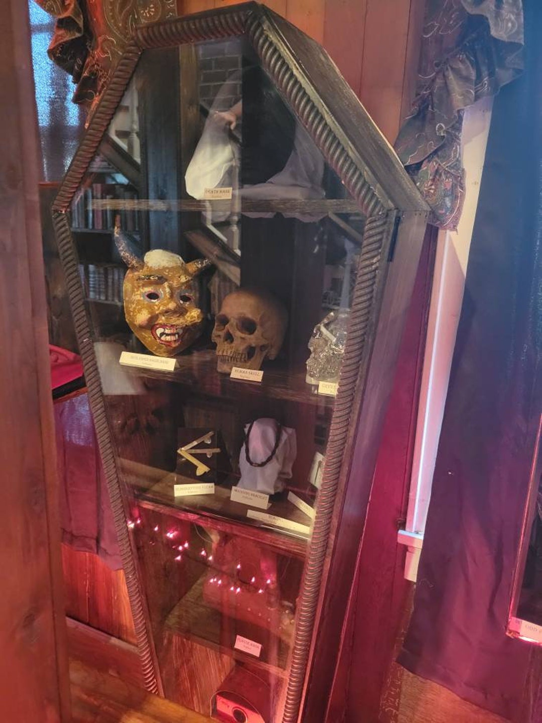 Coffin Display Case With Glass Enclosure , Gothic, Morbid, Black, Dark ...