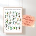 Houseplant Alphabet Print | Flowers/succulent/indoor Houseplant/tree ...