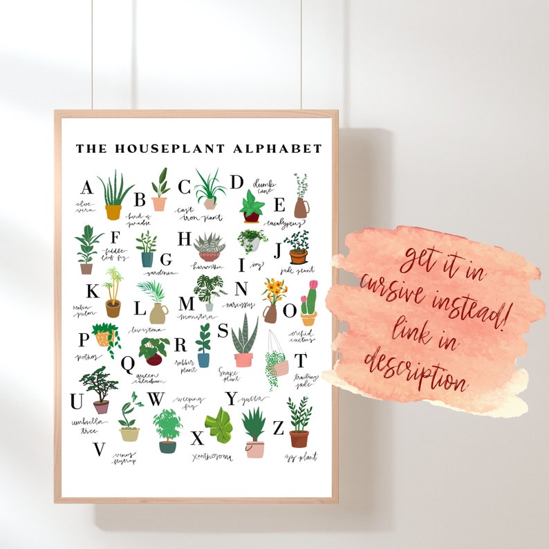 Houseplant Alphabet Print | Flowers/succulent/indoor Houseplant/tree ...