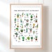 Houseplant Alphabet Print (cursive) | Flowers/succulent/indoor ...