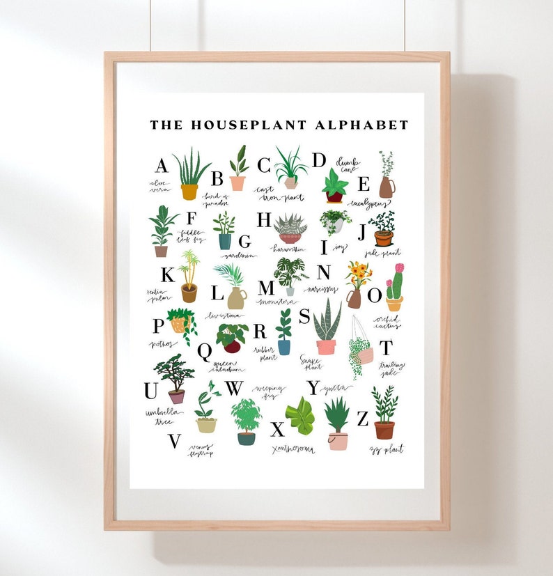 Houseplant Alphabet Print cursive Flowers/succulent/indoor | Etsy
