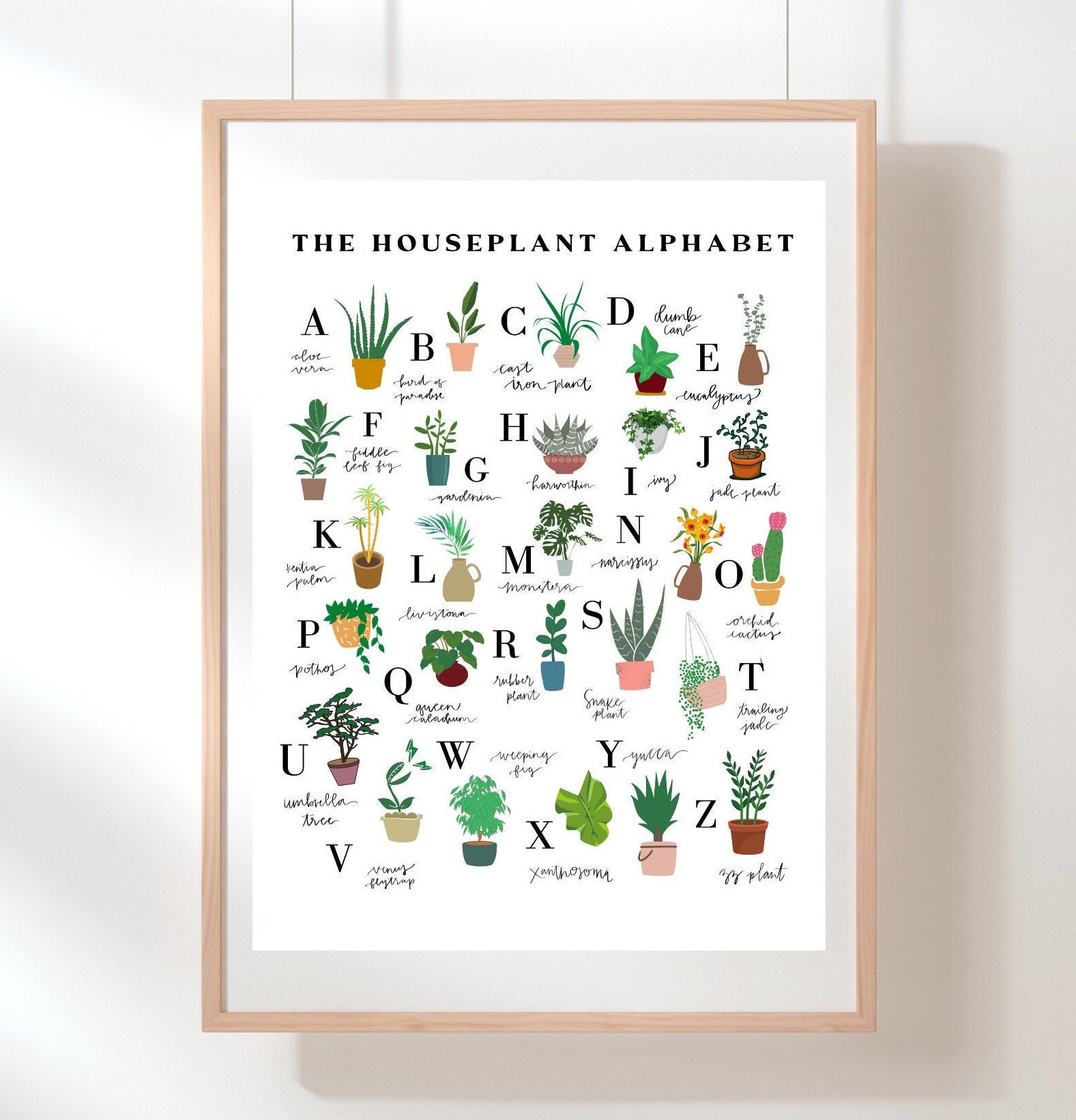 Houseplant Alphabet Print cursive Flowers/succulent/indoor | Etsy