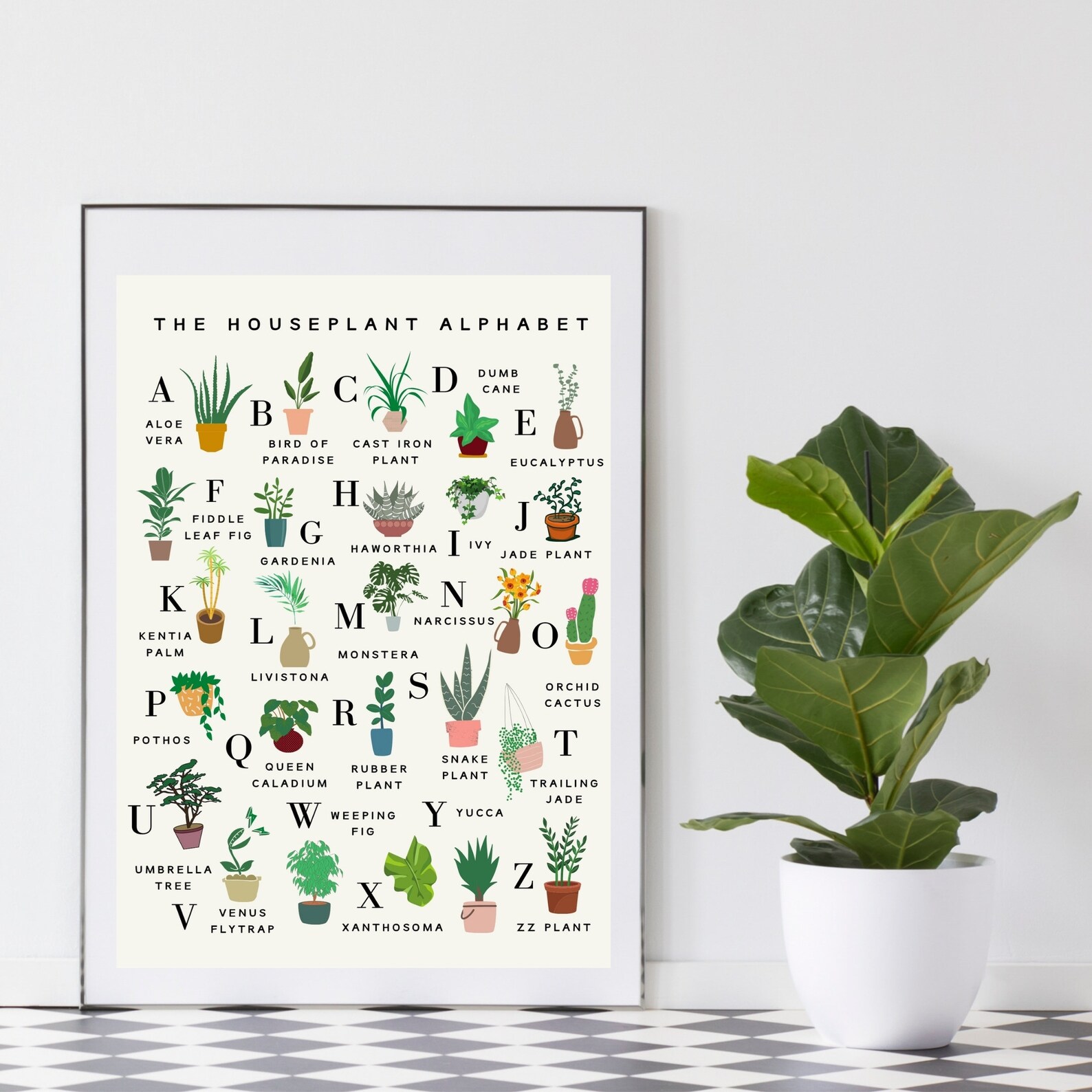 Houseplant Alphabet Print | Flowers/succulent/indoor Houseplant/tree ...