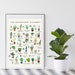 Houseplant Alphabet Print | Flowers/succulent/indoor Houseplant/tree ...