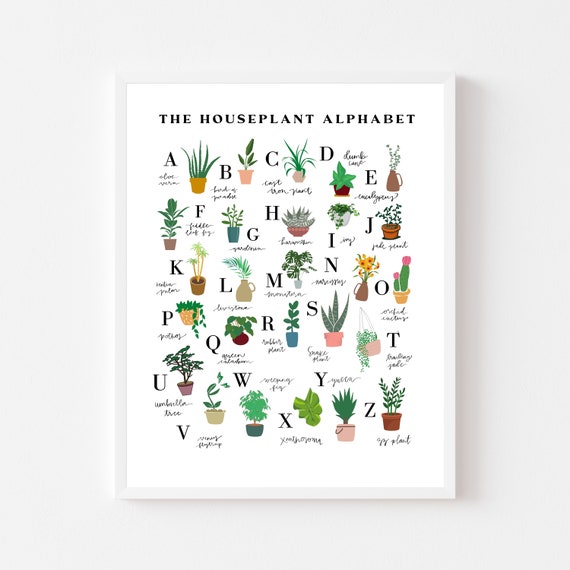 Houseplant Alphabet Print cursive Flowers/succulent/indoor | Etsy
